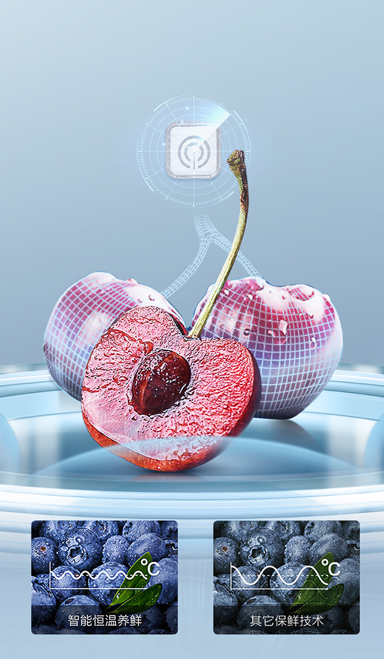 超薄零嵌冰箱R461P12-UQ