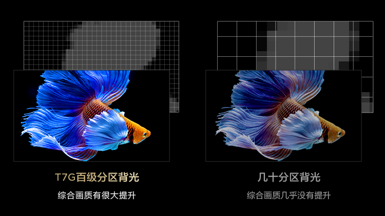 TCL T7G-85英寸高画质大屏电视-144Hz高刷电视 | TCL官网