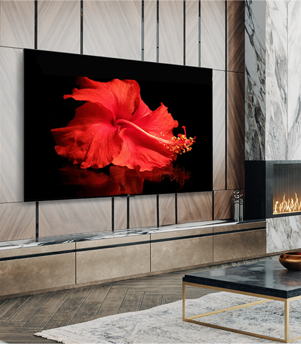 TCL C11-85英寸QLED大屏电视-光色猎手 | TCL官网