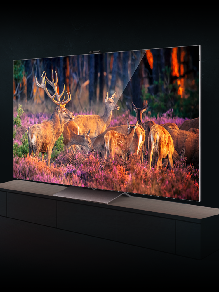 QD-Mini LED 智屏 75C12