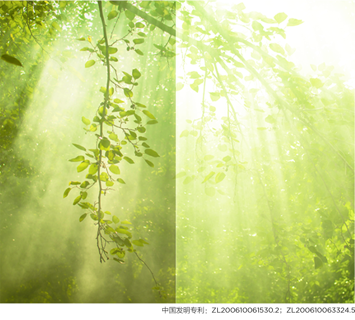 TCL43英寸商用电视-43G60E-AI智屏 | TCL官网