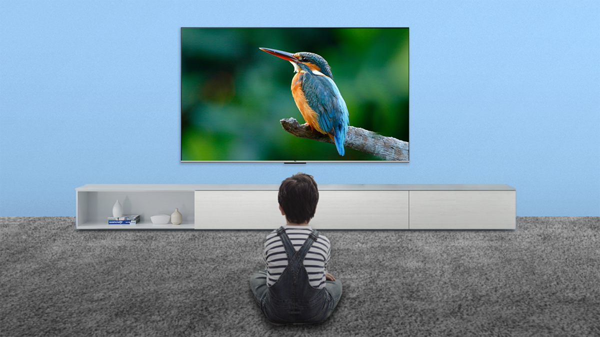 TCL S11-75英寸护眼电视-护眼AI智屏 | TCL官网