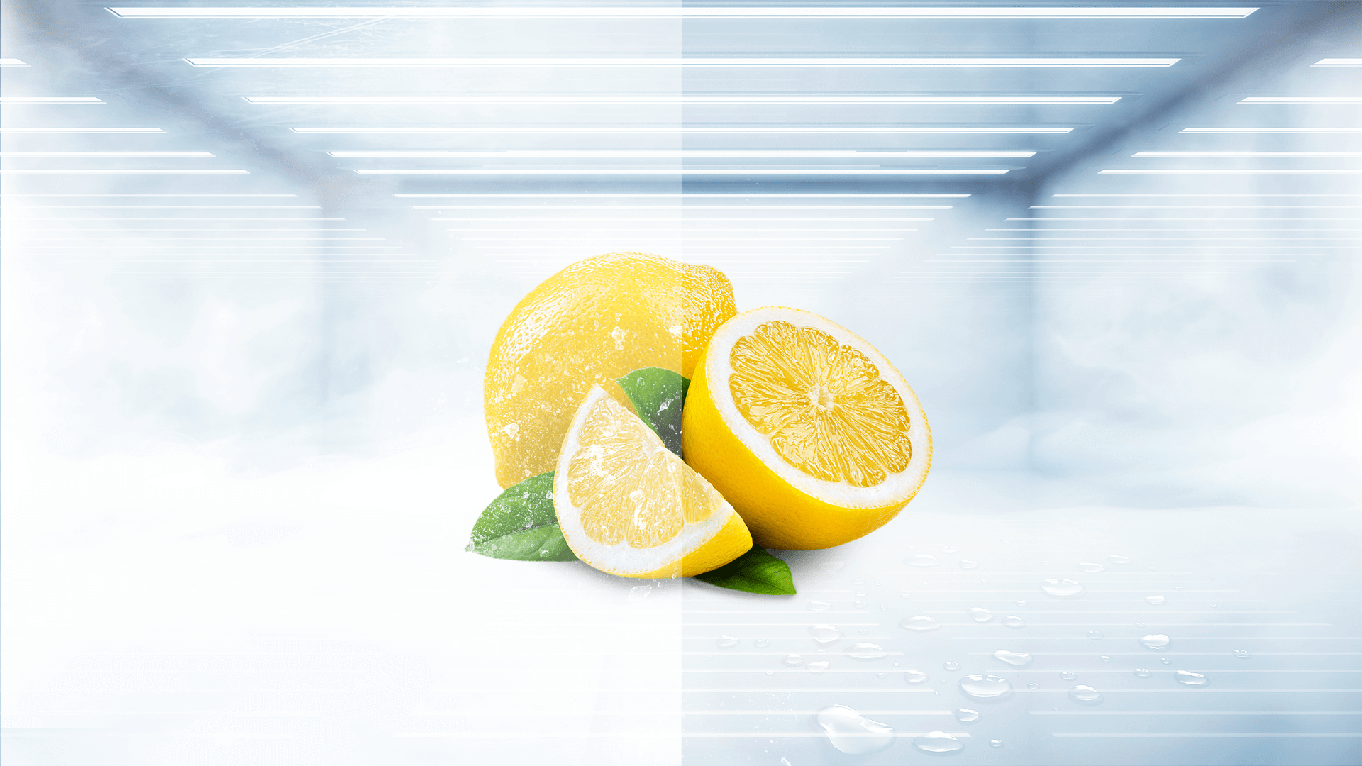 Combi Fridge Freezer TCL RF282BSE0