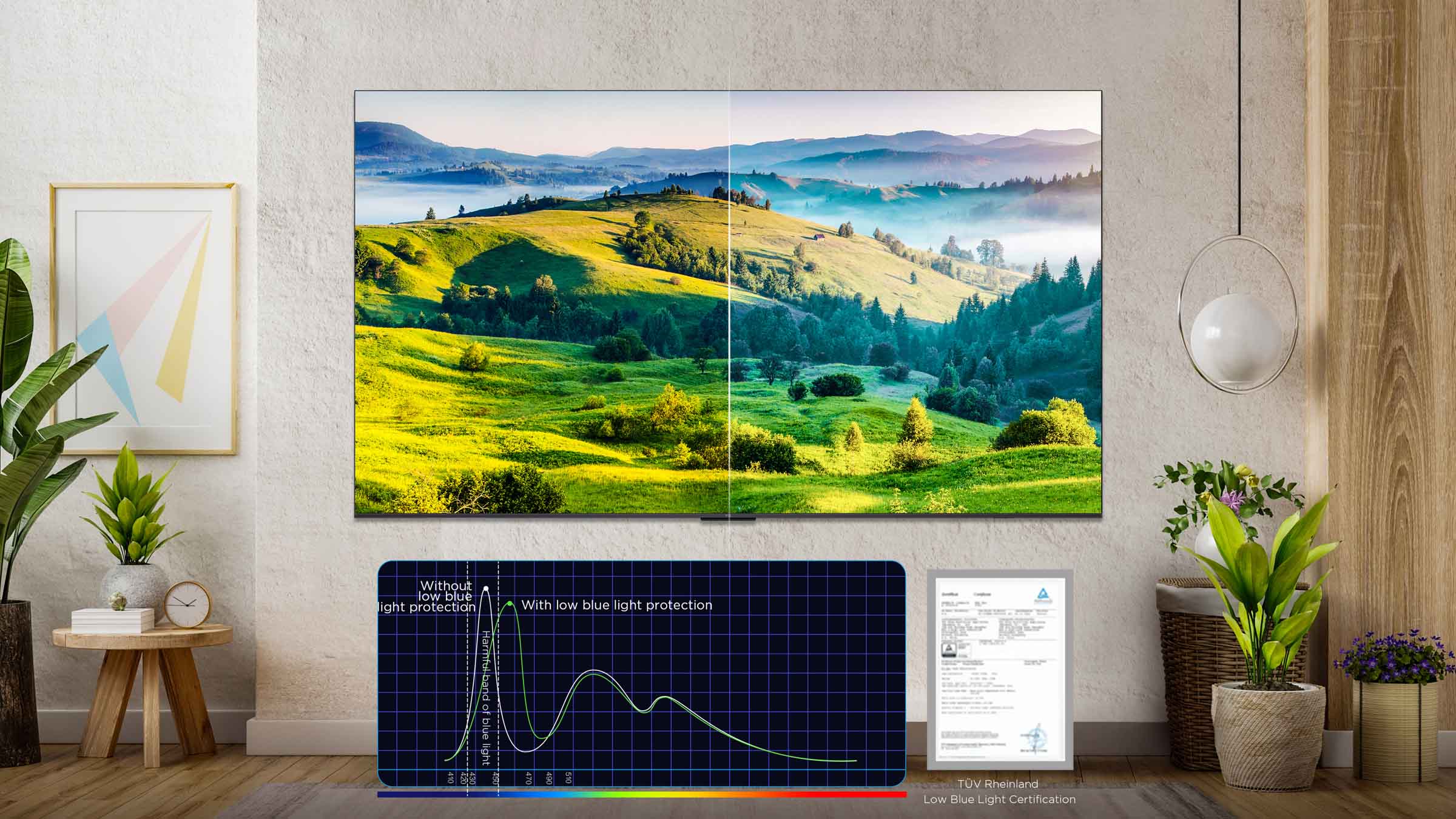 TCL Large Screen TV-TCL Global